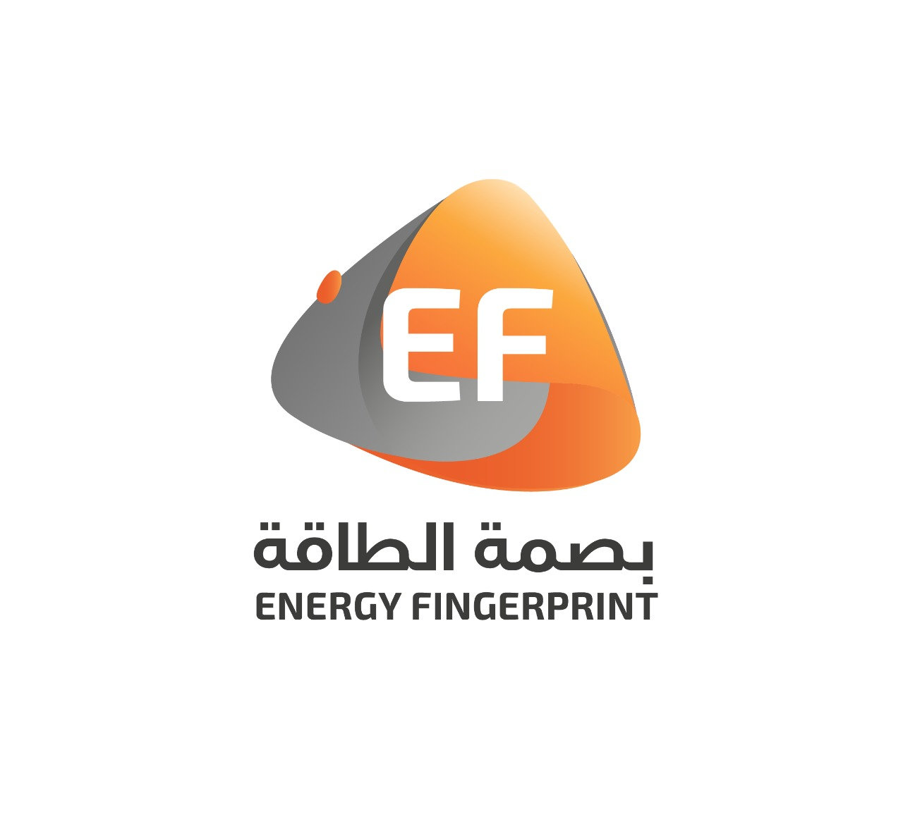 ENERGY FINGERPRINT
