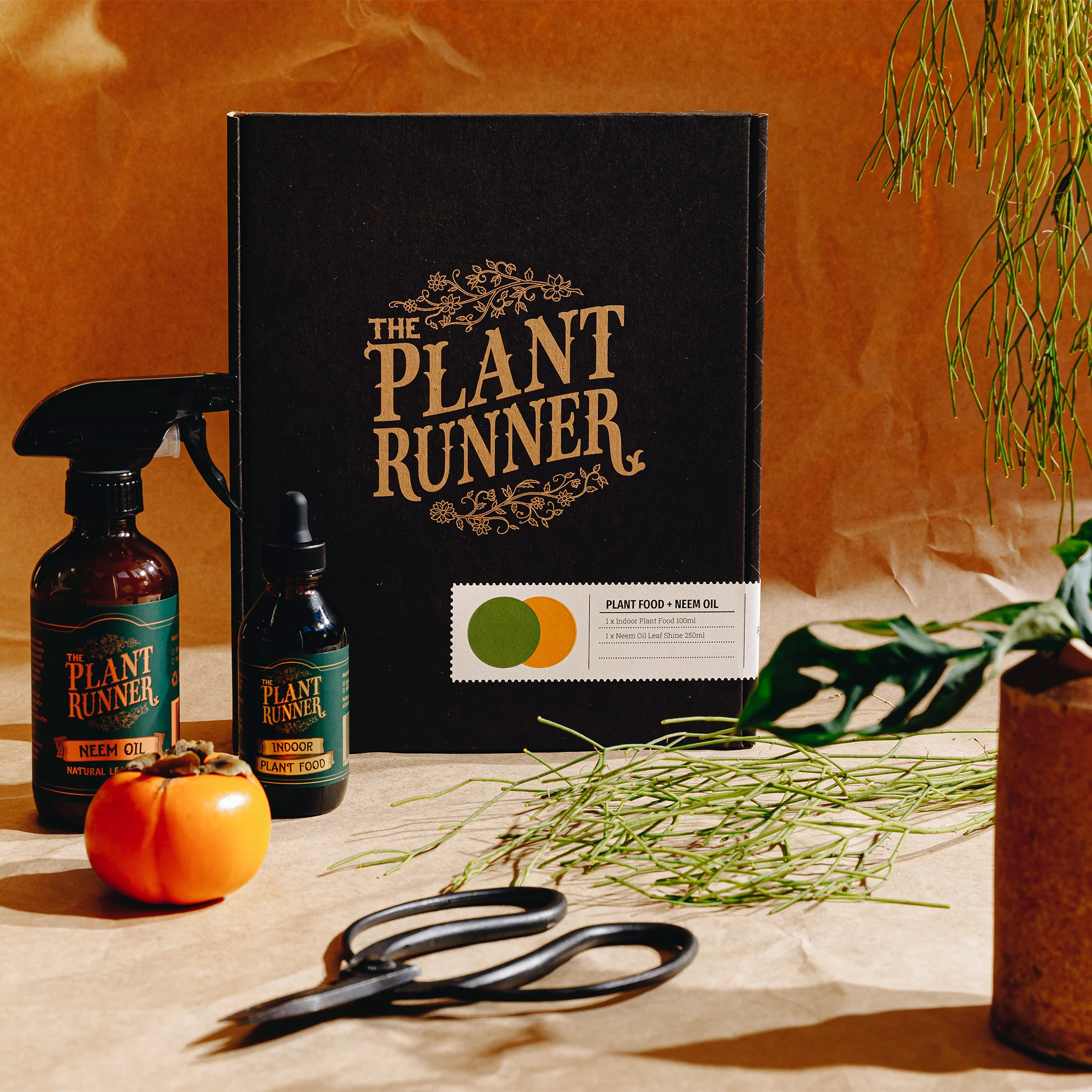 Plant Runner Care Essentials Kit | Botanical Lane