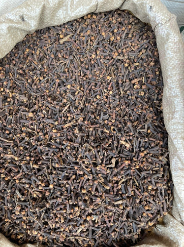 Buy Cloves Sticks in Kampala Uganda | Sahara SPICE HUB