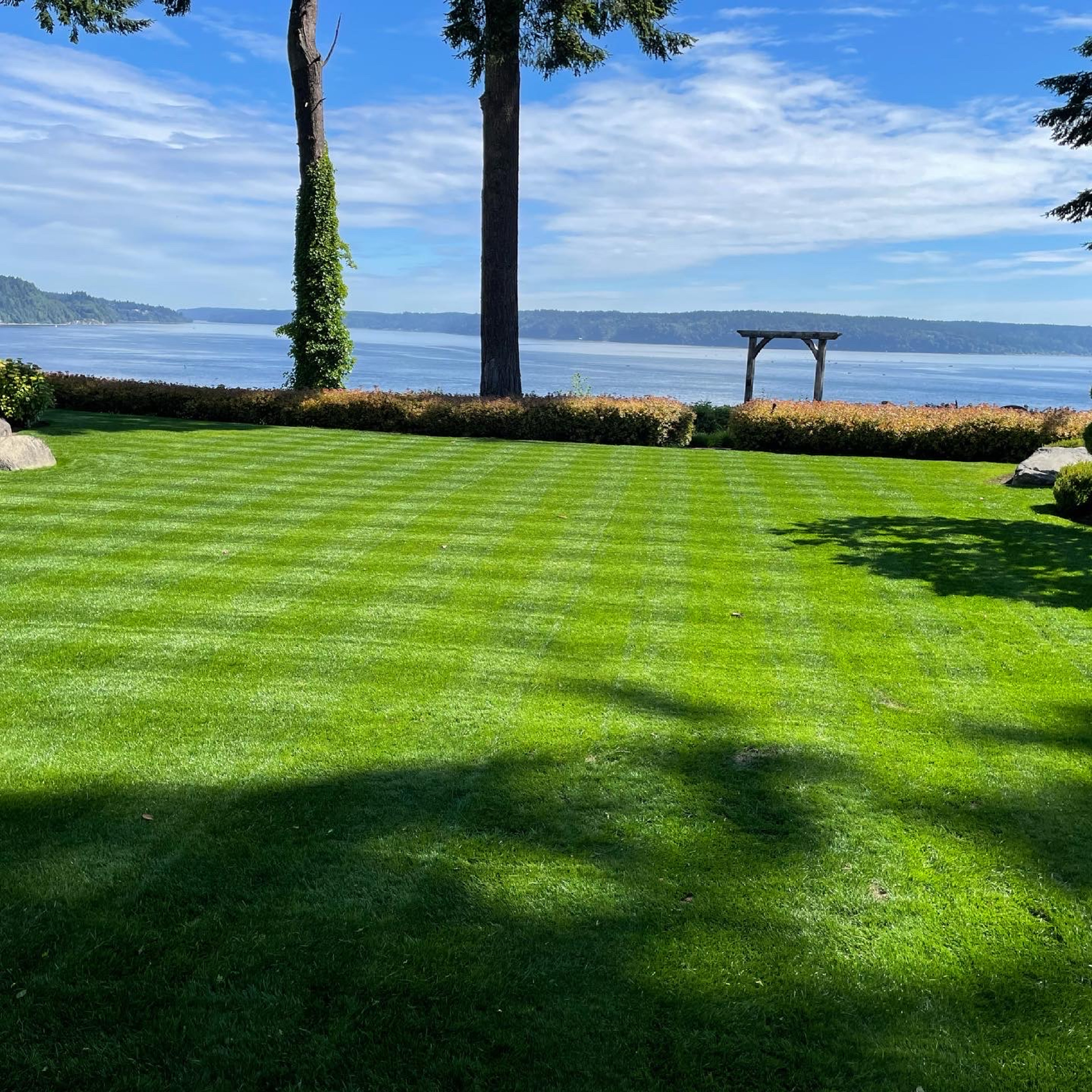 GALLERY | The Perfect Lawn