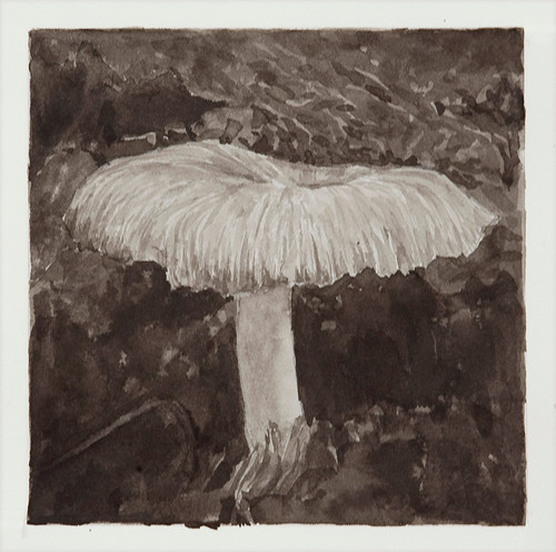 Robert Wiens, Mushroom 7 (2023) | Multiples&SmallWorks