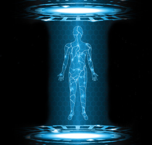 Tesla Body Scan (Individual) | TeslaBodyScan