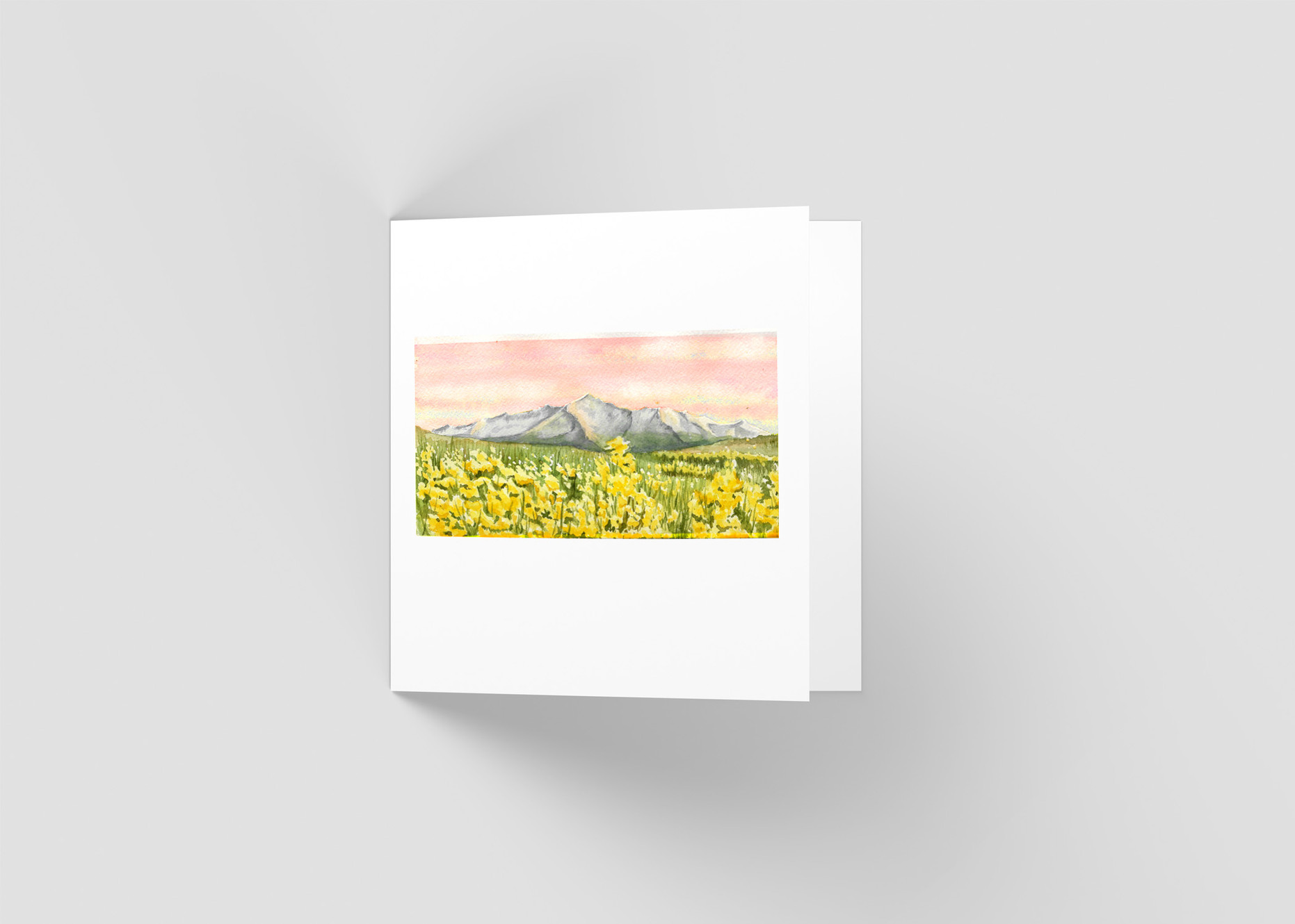 Home | Josie George Designs