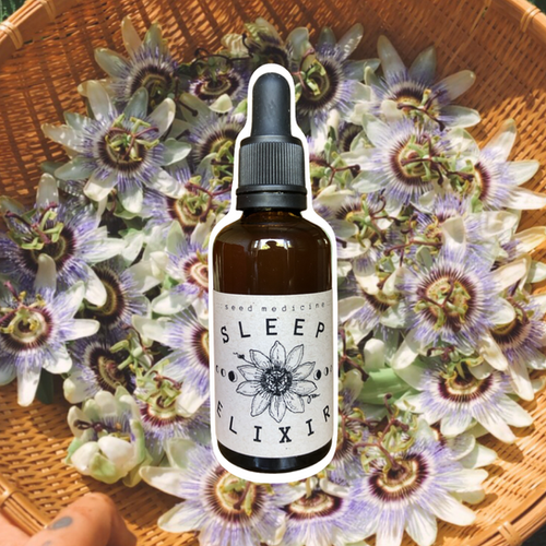 Sleep Elixir | Seed Medicine Garden