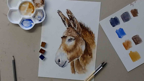 Donkey Watercolour Tutorial | Eunice J Friend