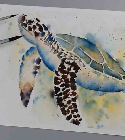 turtle watercolour