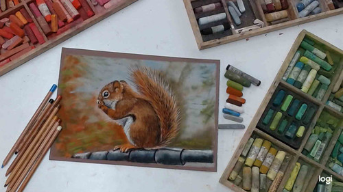 Red Squirrel Pastel Tutorial | Eunice J Friend
