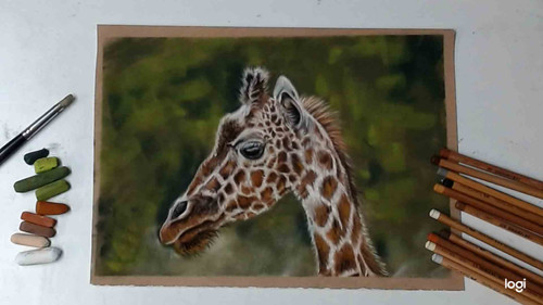 Giraffe Pastel Tutorial | Eunice J Friend