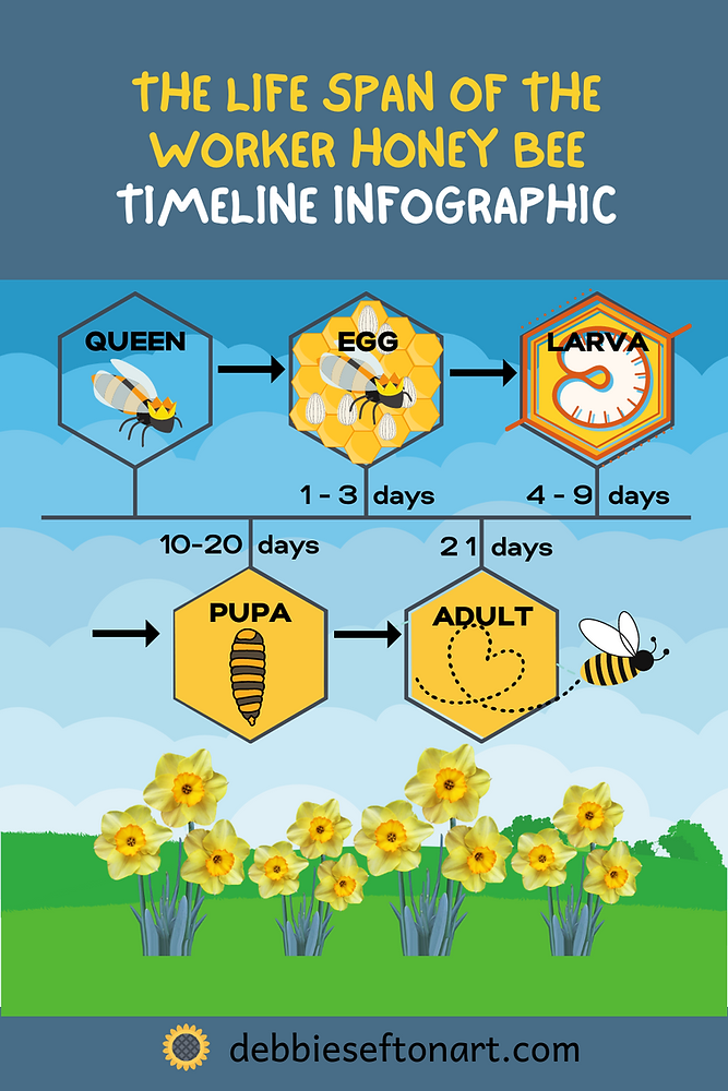 HOW TO MAKE A TIMELINE INFOGRAPHIC FOR KIDS