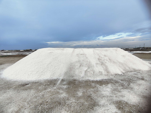 Salt Manufacturer in Tuticorin