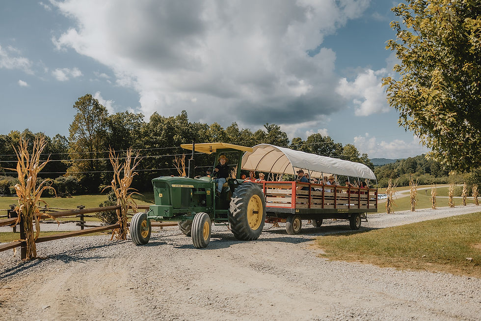 About | Jeter Mountain Farm | Things to do in Hendersonville, NC