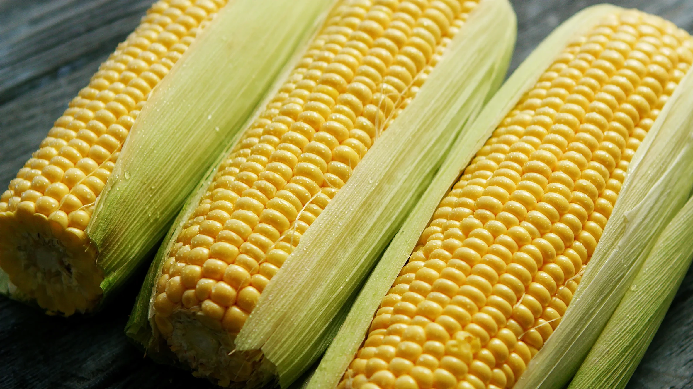 Sweet Corn | Farmers Alliance | United States