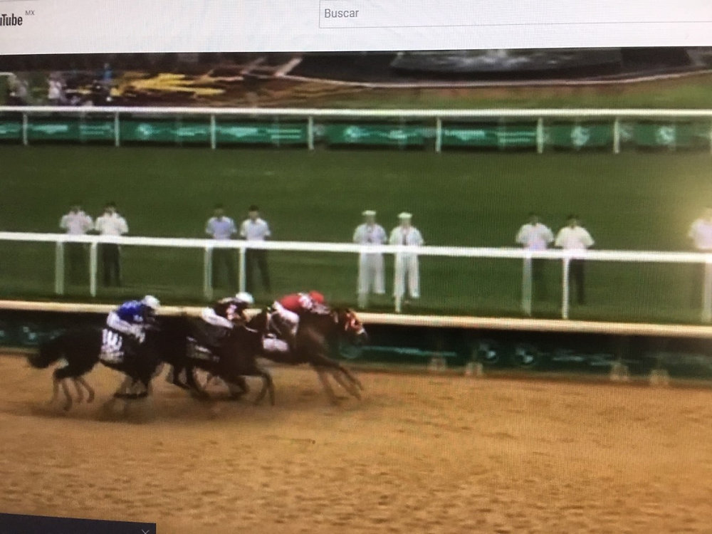 Los Caballos, por que ganan?