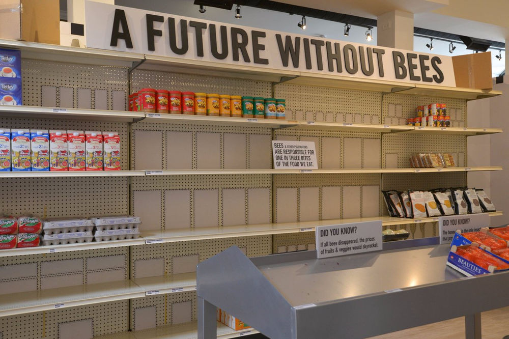 A World Without Bees