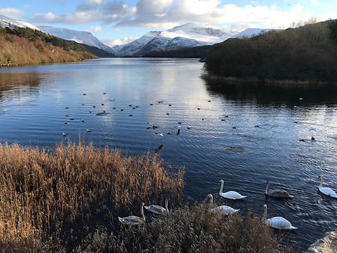 Things to do | Bryn Ifan Camping