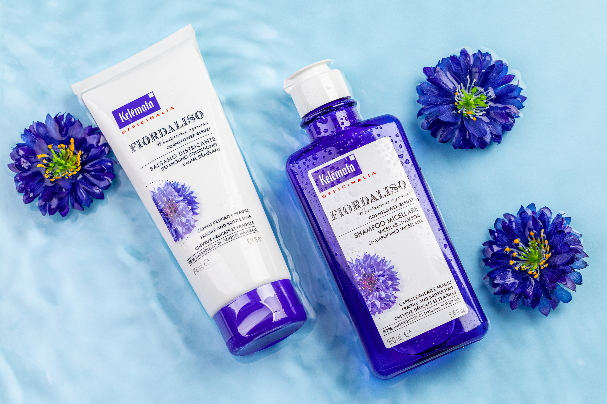 Still Life | Giulia Catania