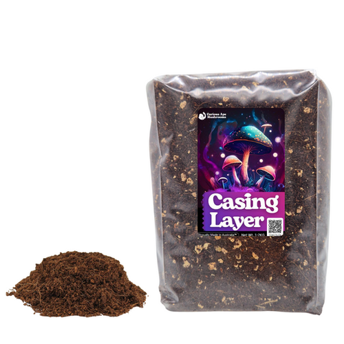 Sterilised Casing Layer | Curious Ape Mushroom