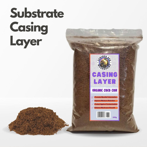 Sterilised Casing Layer | Curious Ape Mushroom