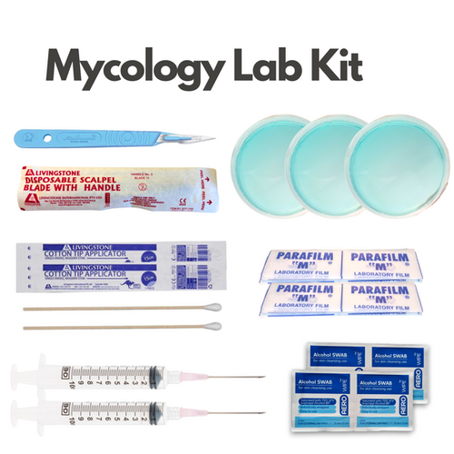 Mycology Lab Kit | Curious Ape Mushroom