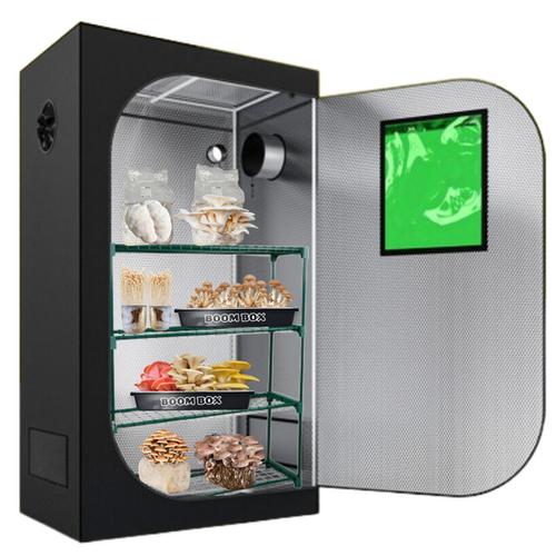 Hydroponic Mushroom Grow Tent | Curious Ape Mushroom