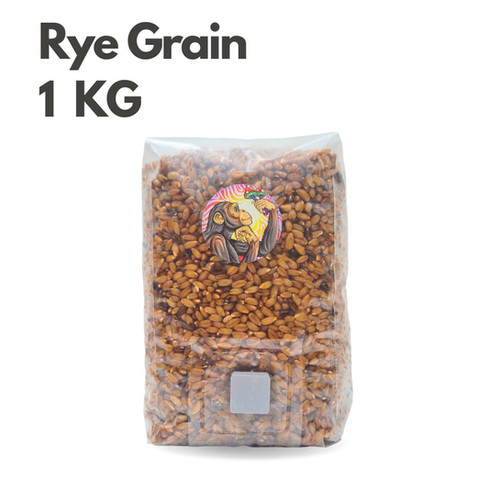 Sterilised Rye Grain Spawn Bag Mushrooms