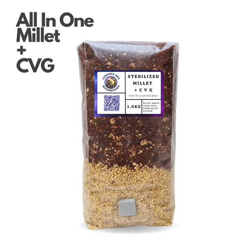 Millet All-In-One Grow Bag Kit | Curious Ape Mushroom