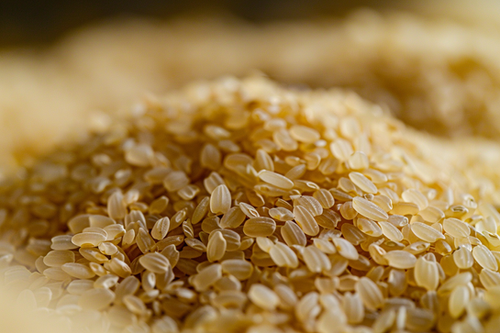 Rice Absolute | Harrison Joseph