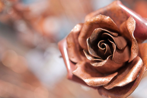 ROSE OXIDE 70/30 | Harrison Joseph