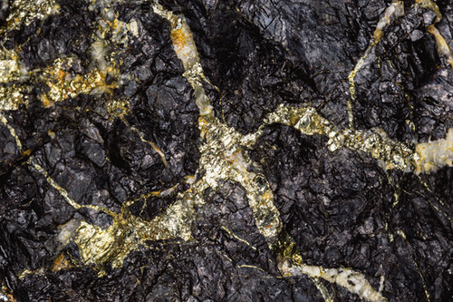 Ethyl Creosol (4-Ethyl Guaiacol) | Harrison Joseph