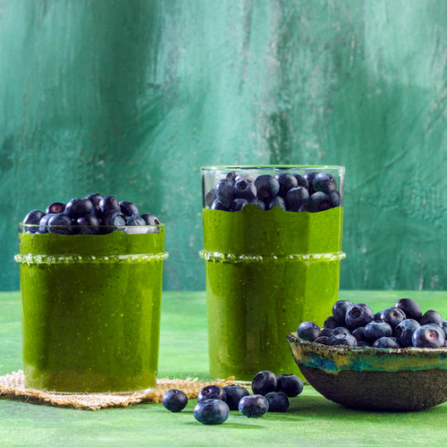 Zenolide | Harrison Joseph