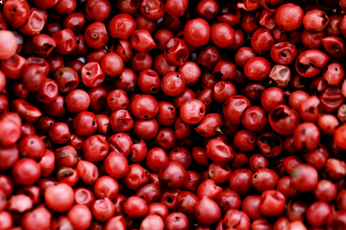 Pink Pepper CO2 LMR | Harrison Joseph