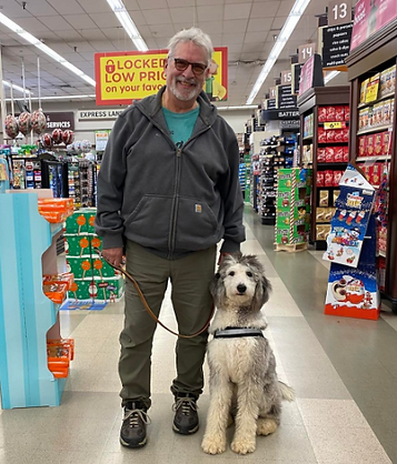 2024 Service Dog Teams | workingdogsforvets