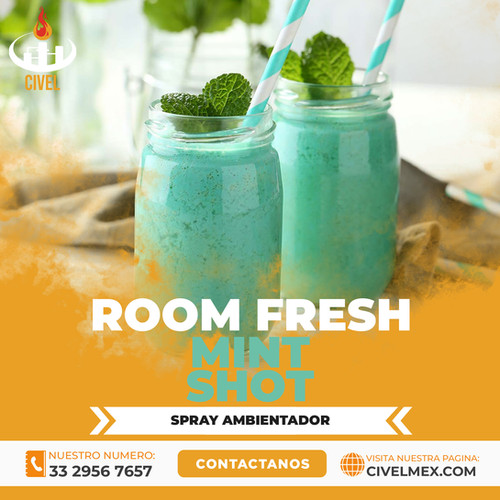 ROOM SPRAY MINT SHOT | CIVEL
