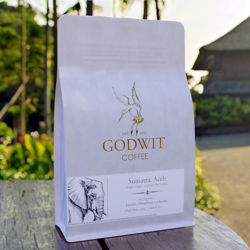 Home | Godwit Official