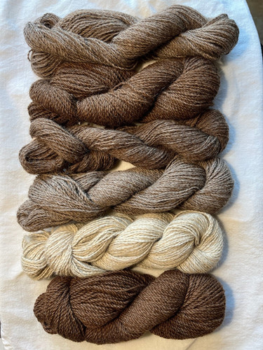 Llama Yarn -150yds | Llama Fiber Co-op