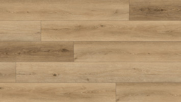 Paradigm Flooring | Performer 20MIL Collection