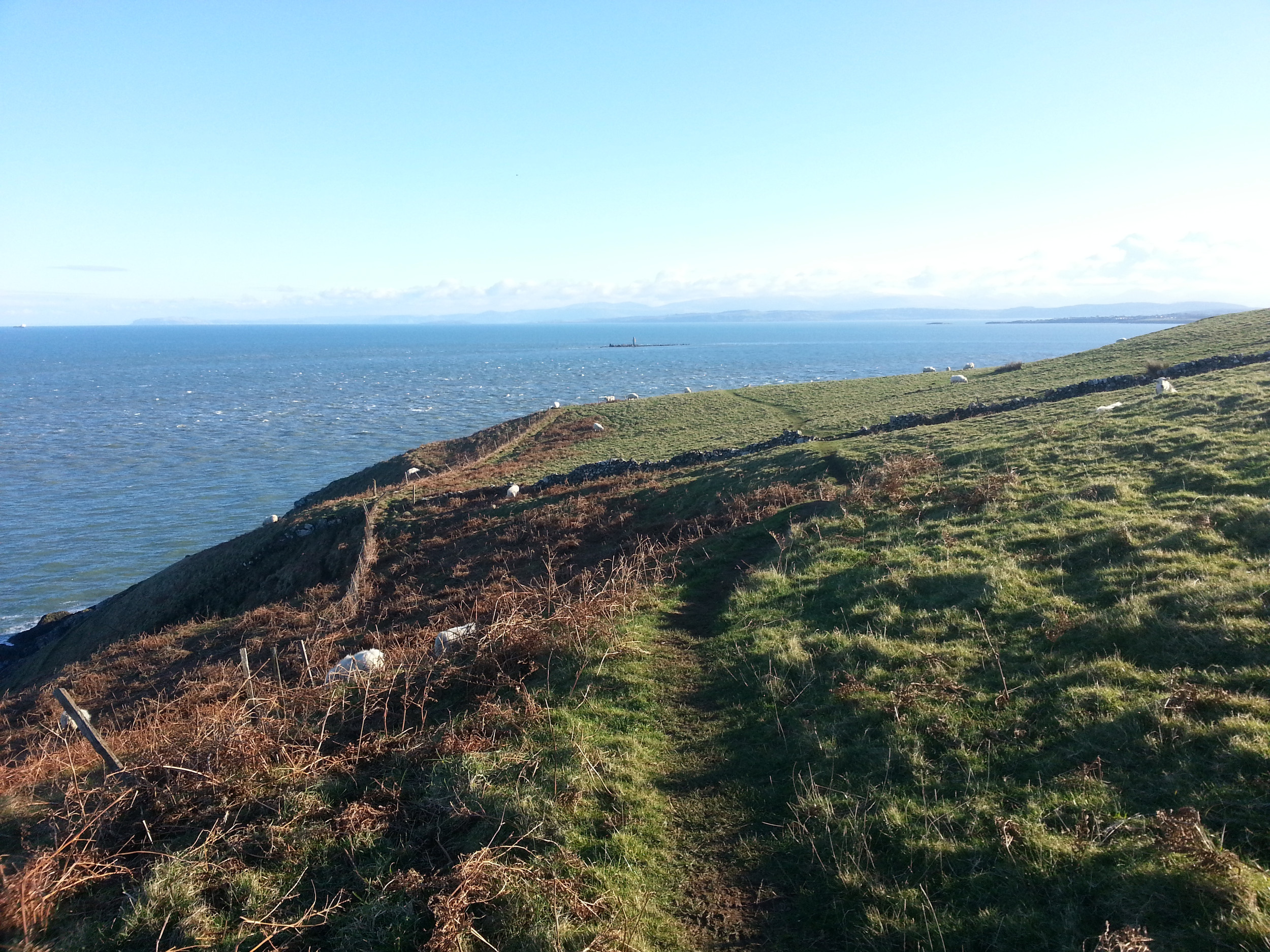 Blog | Plover Rovers