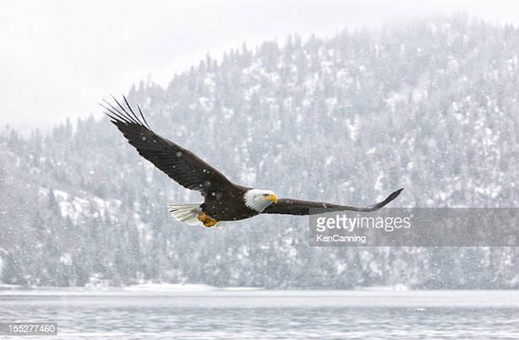 Eagles 3242 | Skagit Valley Fraternal Order of Eagles | Burlington