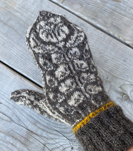 Evening Primrose Mitten and Muffatee Kit | 5 Sisters Farm