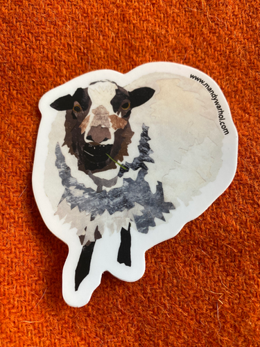 "Daisy" Shetland ewe sticker | 5 Sisters Farm