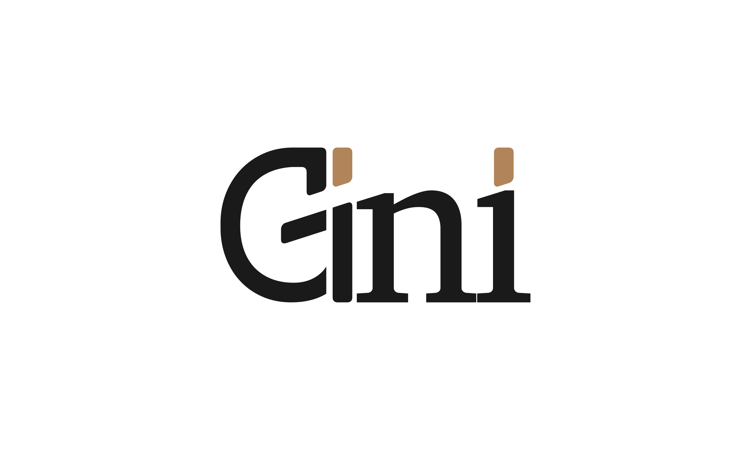 Gini | Turning Risk into Strategic Advantage