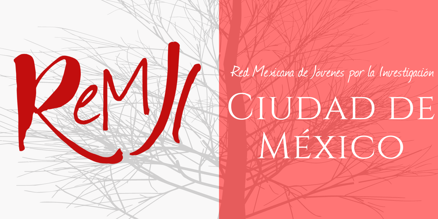 ReMJI CDMX | ReMJI