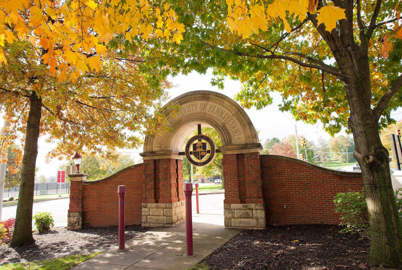 IUP Prepares You for Solving the World’s Greatest Problems