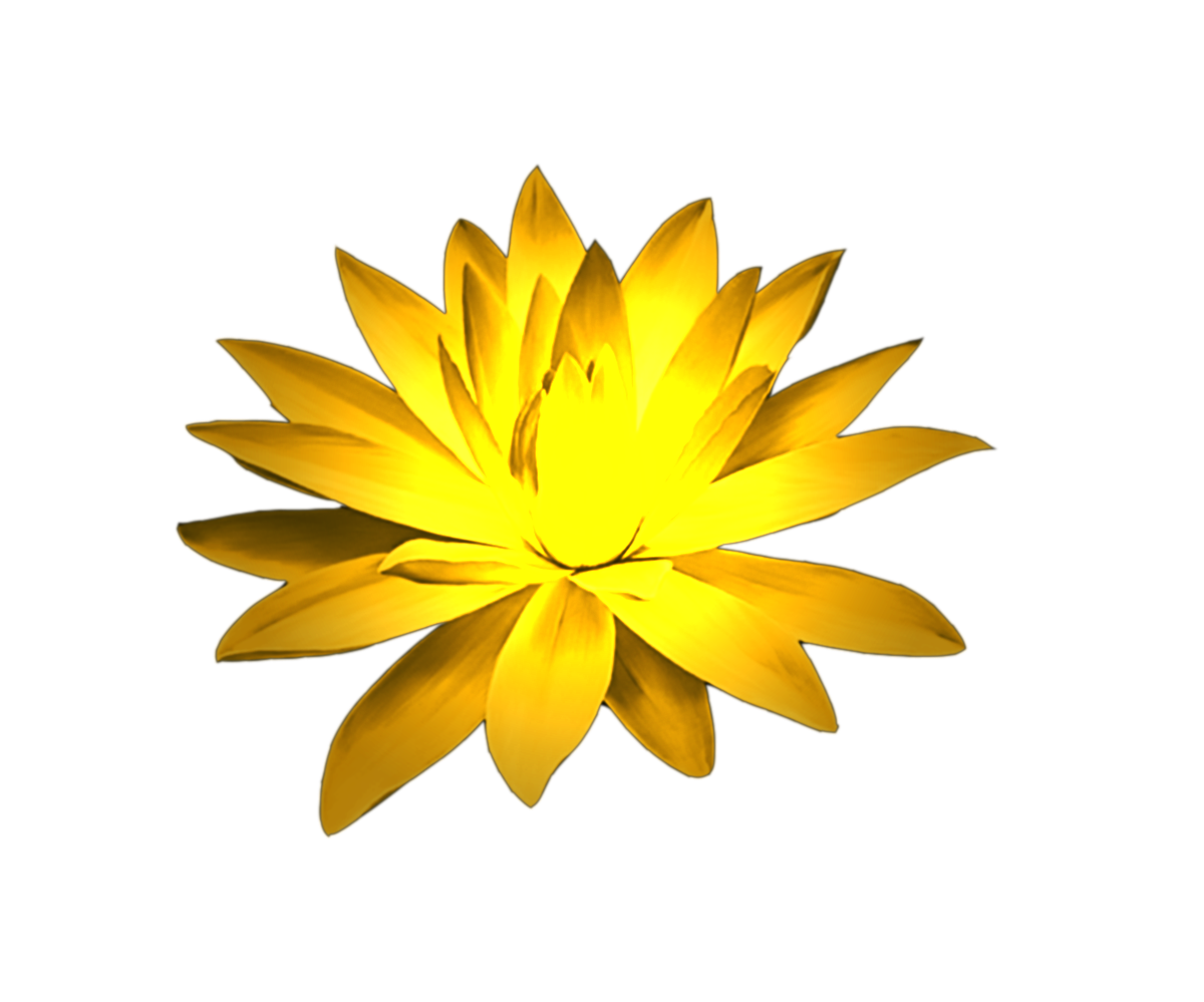 Home | Golden Lotus Health