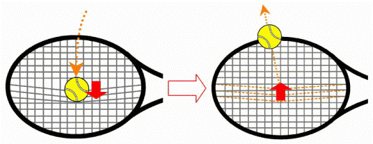 Why Hybrid? Role of Main and Cross Strings of Tennis Racket