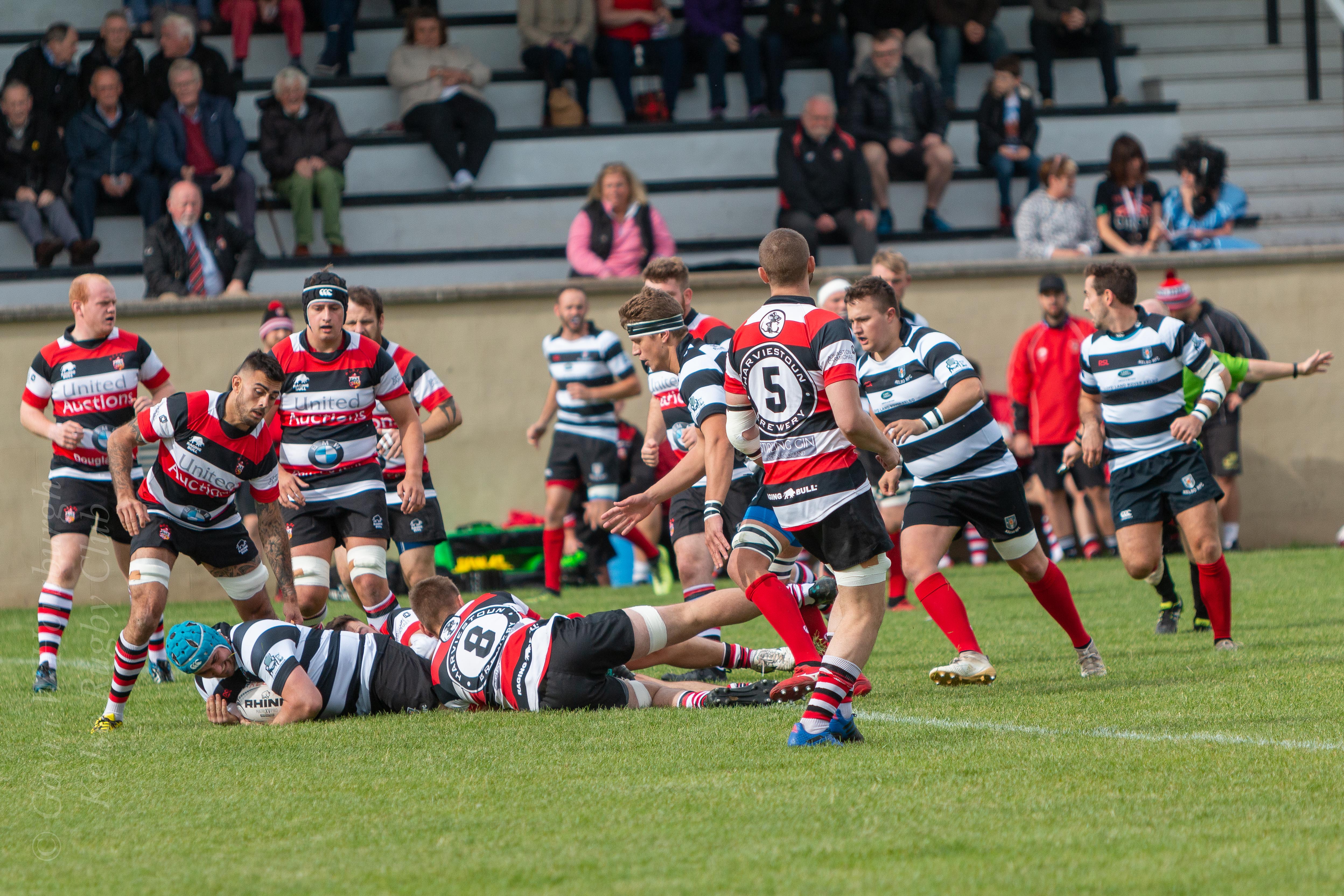 Kelso 1st V Stirling Wolves | Kelso Rugby Club