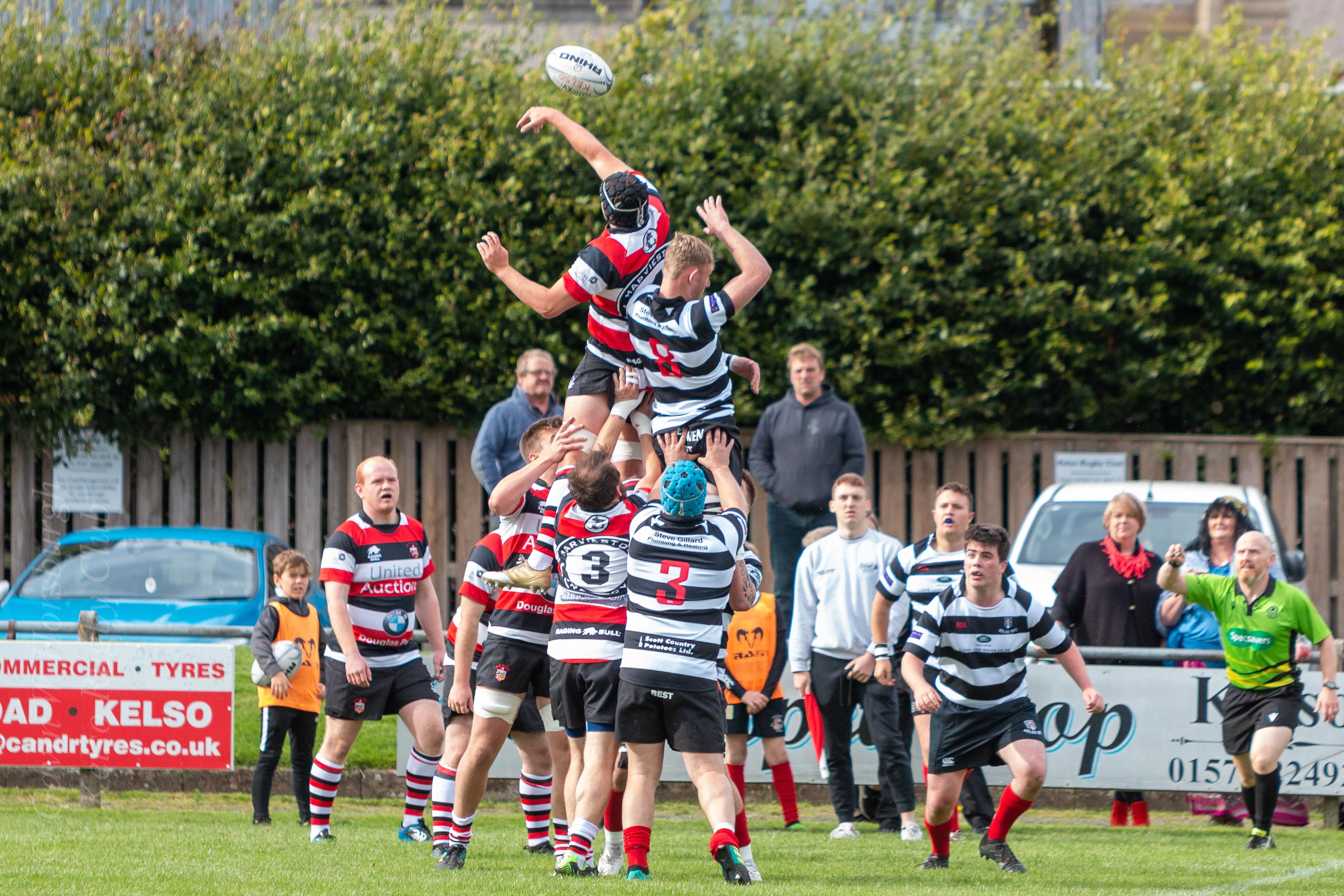 Kelso 1st V Stirling Wolves | Kelso Rugby Club