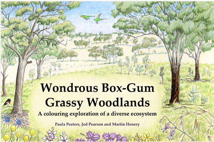 Wonderous Box-Gum Grassy Woodland teacher's guide now available.