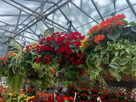 Whitcraft Farms | Plant Nursery | 202 Kresson Road, Cherry Hill, NJ, USA