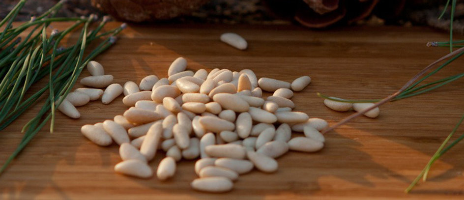 PIÑONES, FRUTOS SECOS CON MUCHAS PROPIEDADES